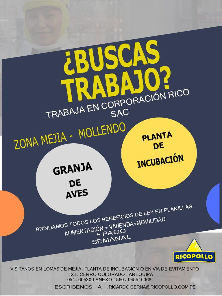 Afiche Rico Pollo | PDF