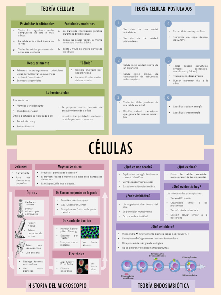 Células | PDF | Biología Celular) | Organismos