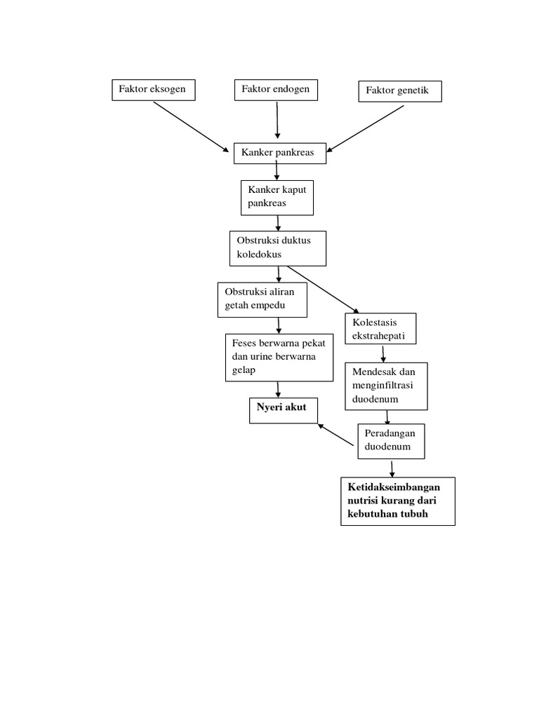Pathway CA Pankreas | PDF