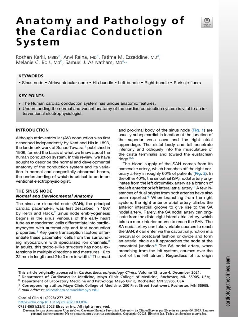 Anatomy and Pathology of The Cardiac Conduction System | PDF | Atrium ...