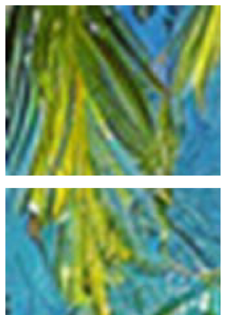 Lapay Pdf