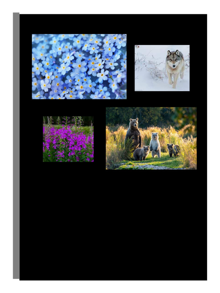 Fs 4 Artifact Ed620 Unit Design Final | PDF | Cognitive Science | Cognition