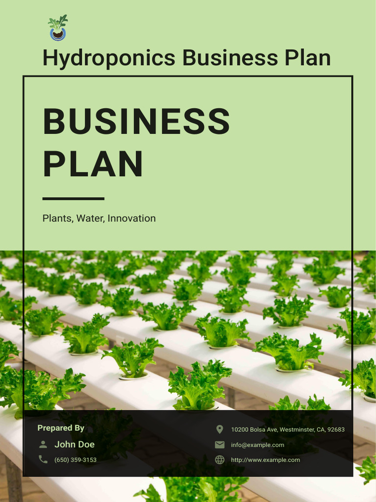 Hydroponics Business Plan Overview | PDF | Marketing | Hydroponics