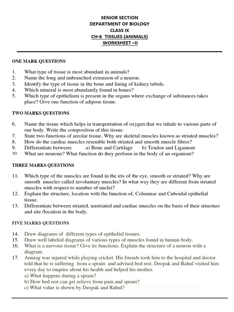 CBSE Class 9 Science Worksheet - Tissues Animals | PDF | Tissue ...