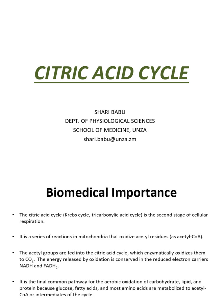 Citric Acid Cycle | PDF | Chemistry | Citric Acid Cycle