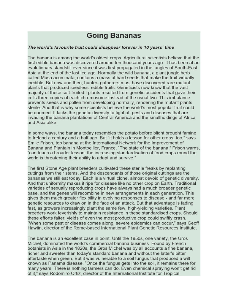 Going Bananas | PDF | Banana | Plant Breeding