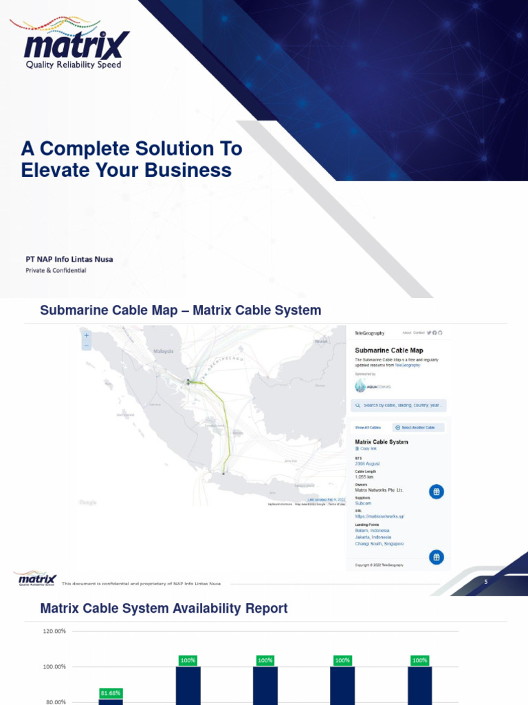 Matrix NAP Info - Our Services | PDF | Data Center | Internet