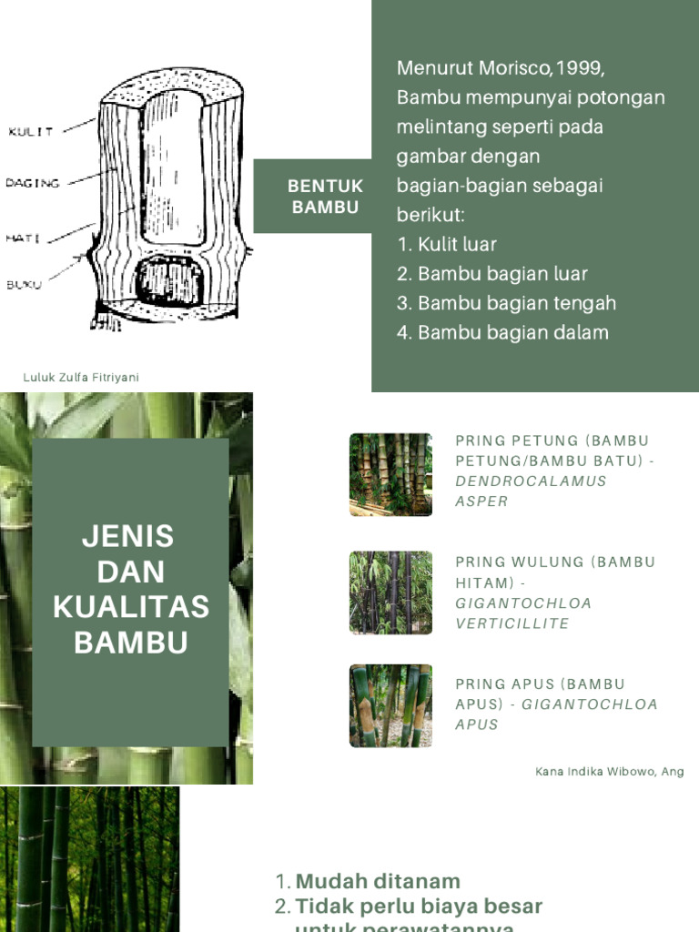 Kelompok Bambu | PDF