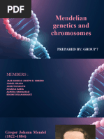 Genetics Simplified Notes | PDF | Dominance (Genetics) | Genetics