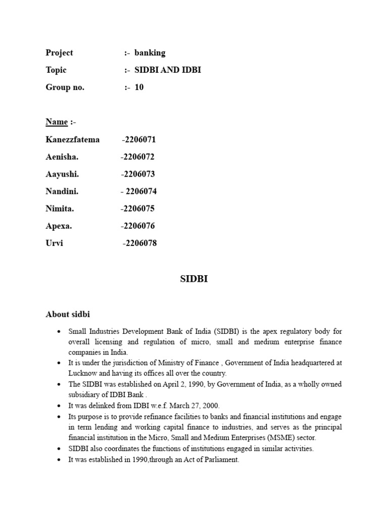 Banking Project Final | PDF | Financial Services | Business Economics