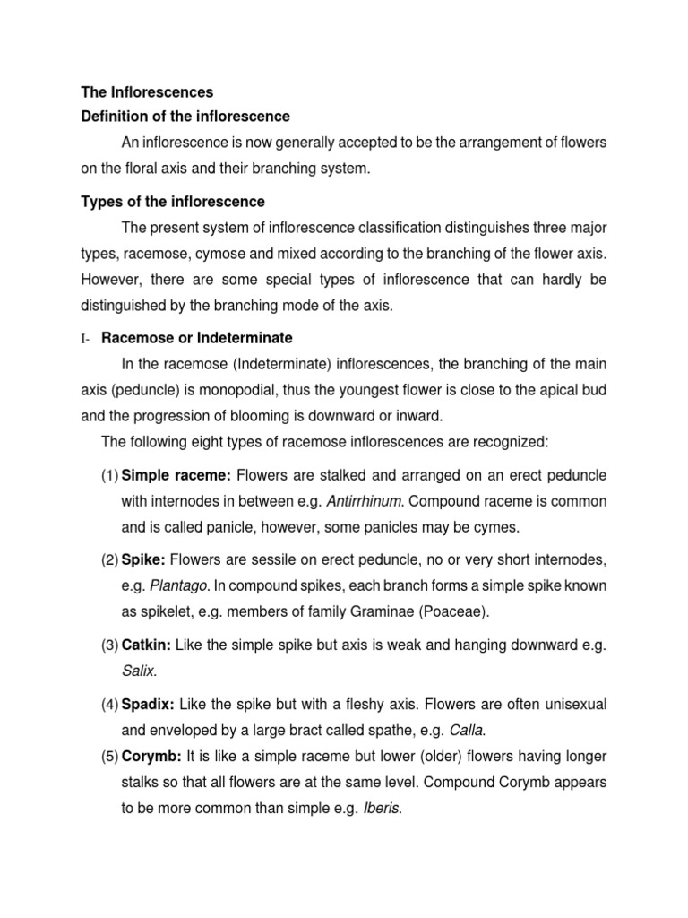 Lec 5 inflorescences | PDF | Horticultural Techniques | Horticulture