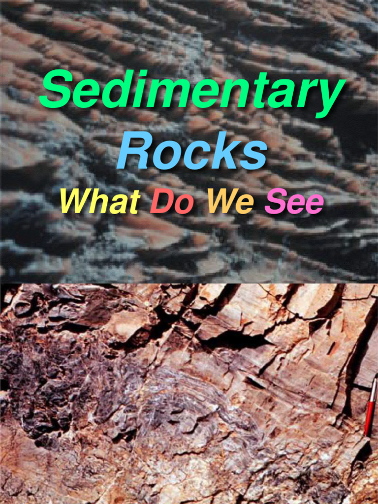 Sedimentary Rocks | PDF | Sedimentary Rock | Clastic Rock