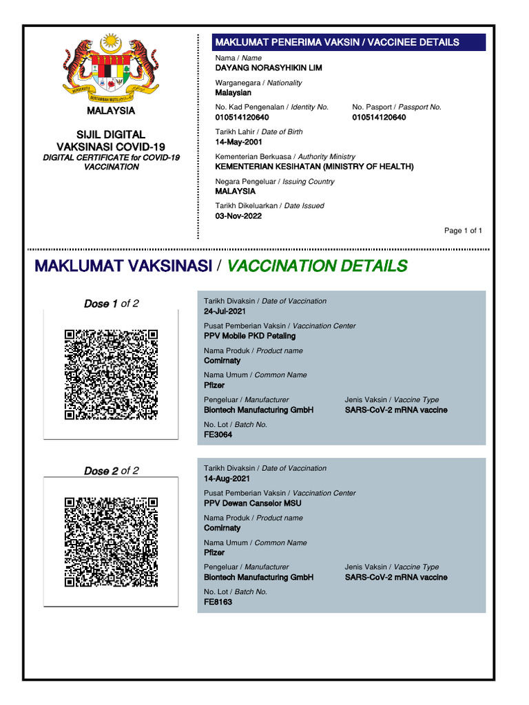 Vaccination Certificate | PDF | Health Sciences | Viral Respiratory ...