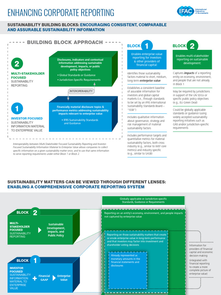 IFAC Enhancing Corporate Reporting Sustainability Building Blocks | PDF ...
