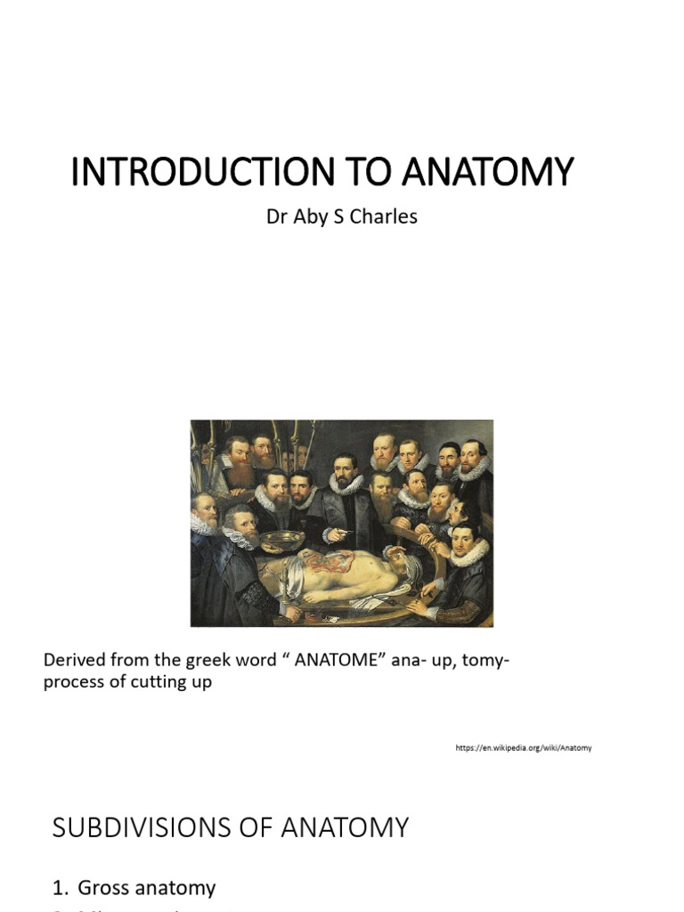 1.intro Terminology | PDF | Anatomical Terms Of Motion | Anatomy