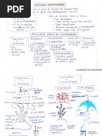Anatomia Mosca Completa Con Imagenes | PDF