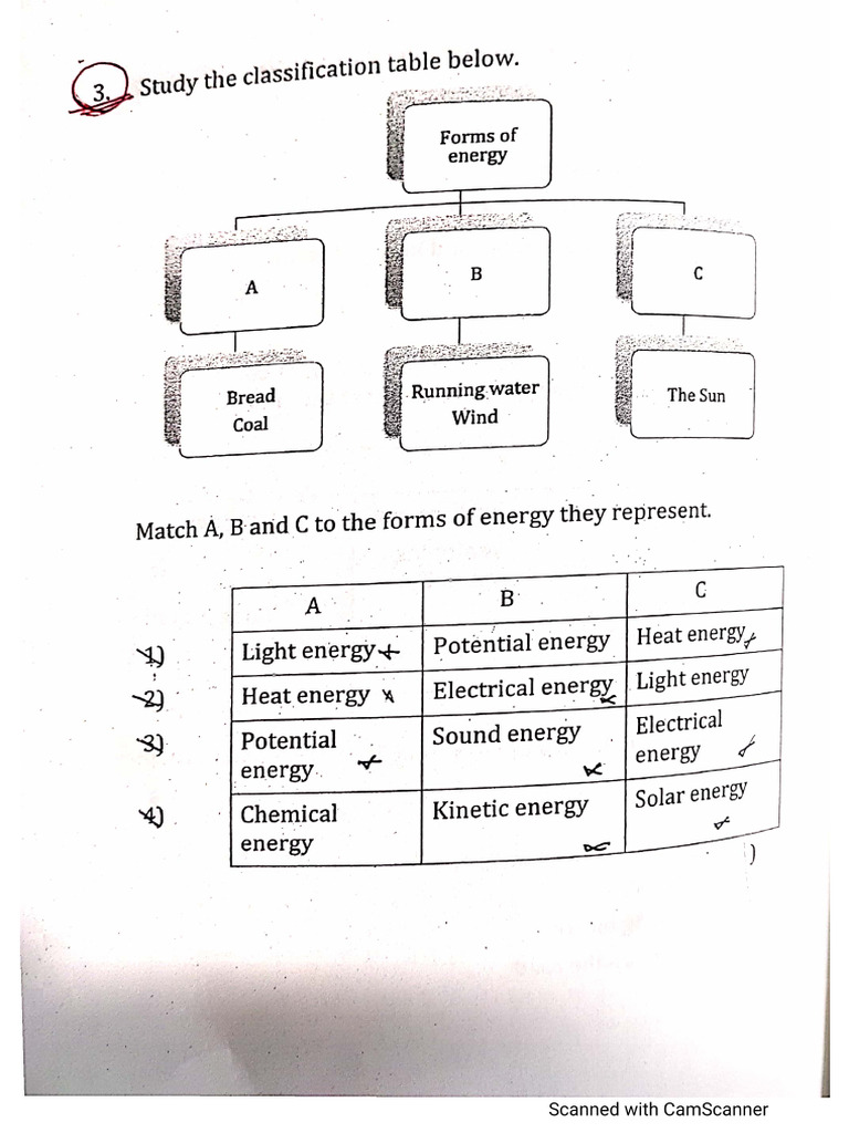 Energy Booklet p6 | PDF