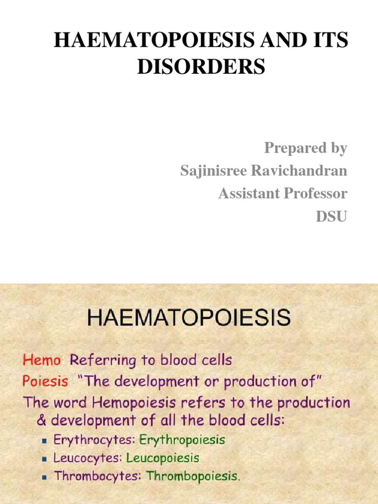 Haematopoiesis and Its Disorders | PDF | Bone Marrow | Anemia