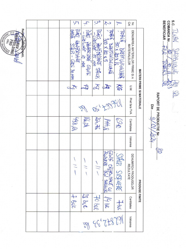 Raport Productie - FBR Towers | PDF