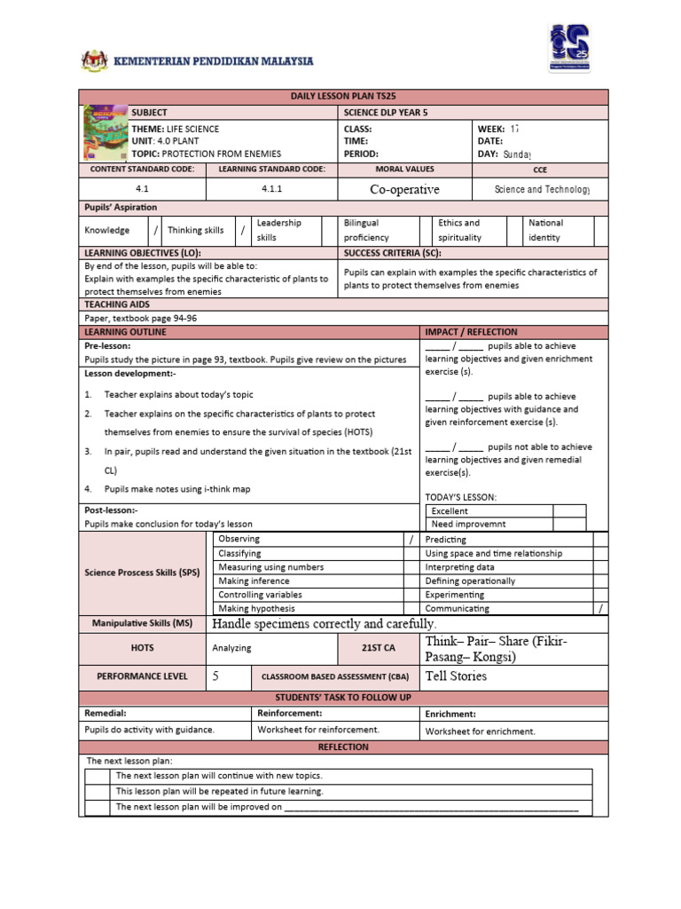SC DLP Y5 TS25 (Unit 4) | PDF | Lesson Plan | Learning