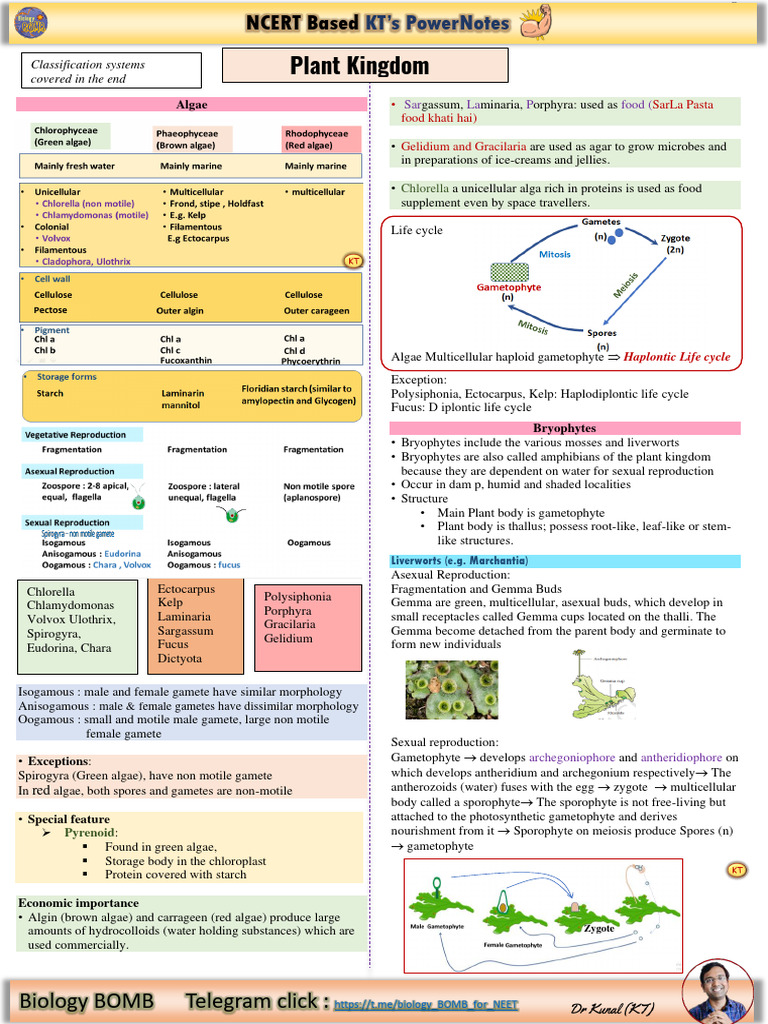 Plant Kingdom Overview for NEET | PDF | Spore | Reproduction