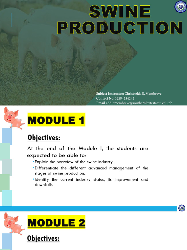 Swine Breeds | PDF | Pig | Pork