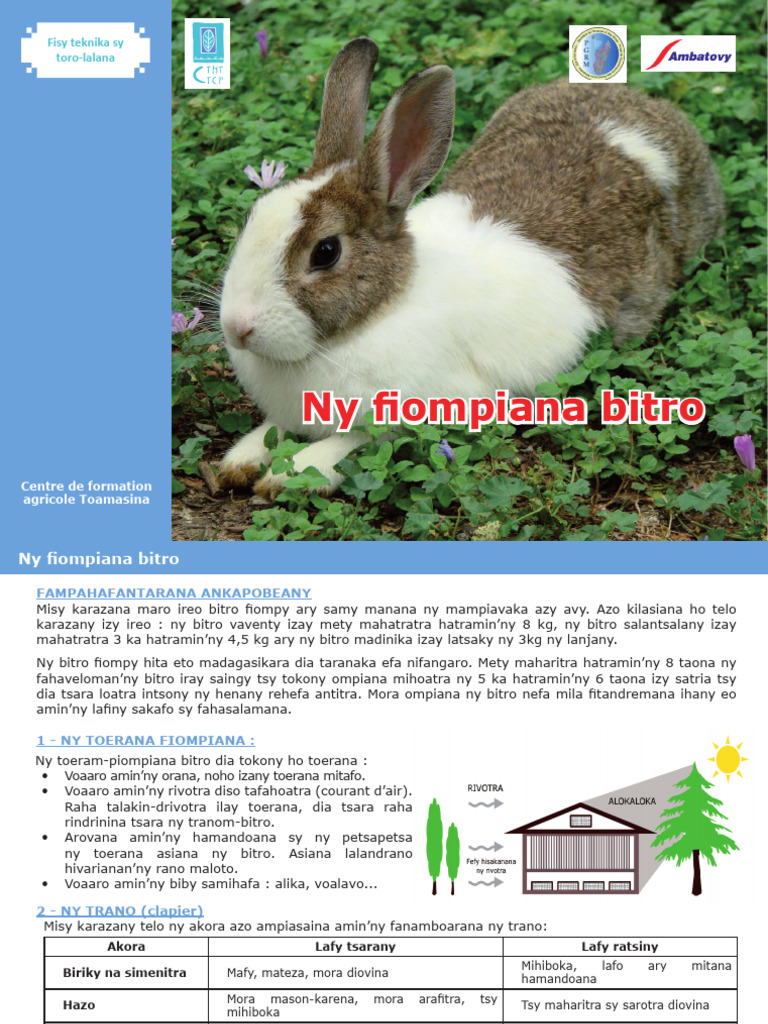 Fiompina Bitro | PDF