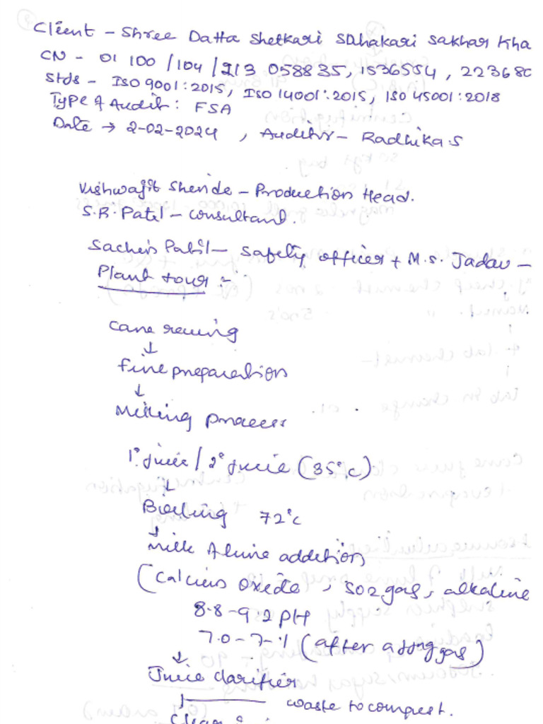 SDS IMS Audit Notes RS 2nd Feb | PDF
