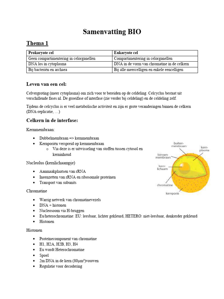 Samenvatting BIO | PDF