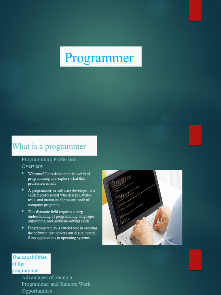 Programmer | Download Free PDF | Programmer | Computer Programming