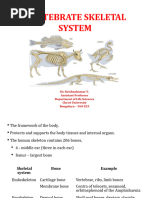 Endoskeleton of Frog (With Diagram) : The Endoskeleton Is Described ...