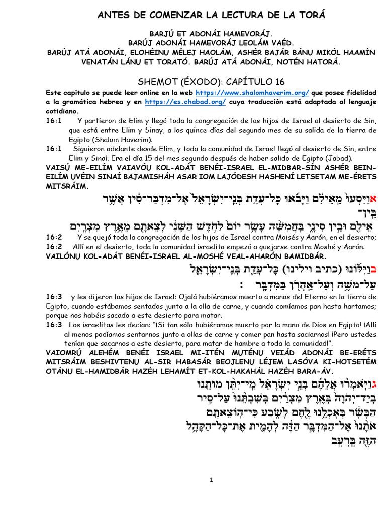 Parasha 16 y Parashá Hamán para El Sustento | PDF | Libro del éxodo | Lenguas de Israel