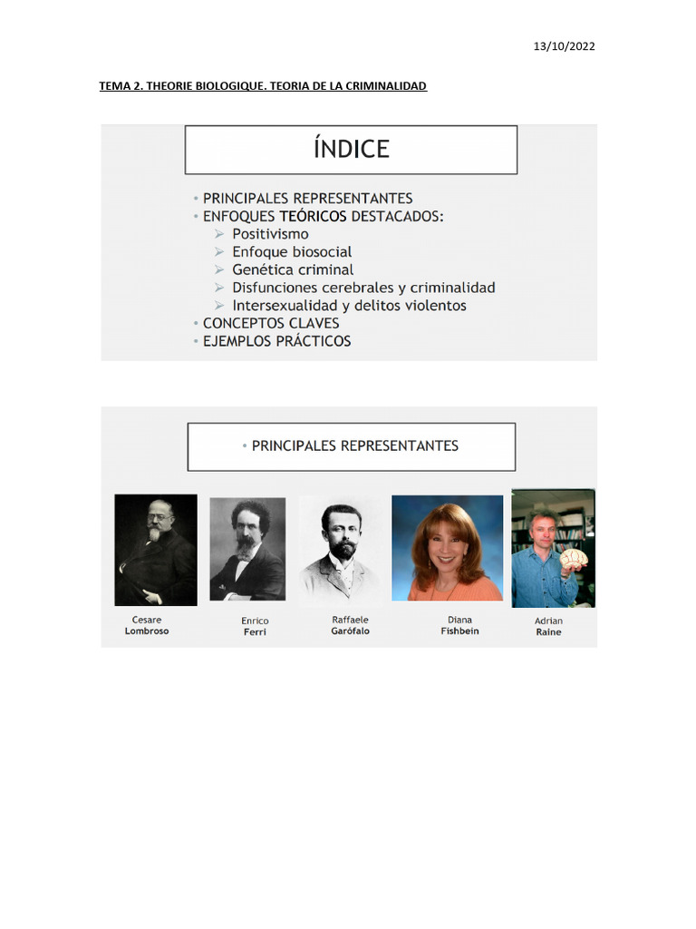 TEMA 2 Teoria de La Criminalidad | PDF | Gemelo | Comportamiento