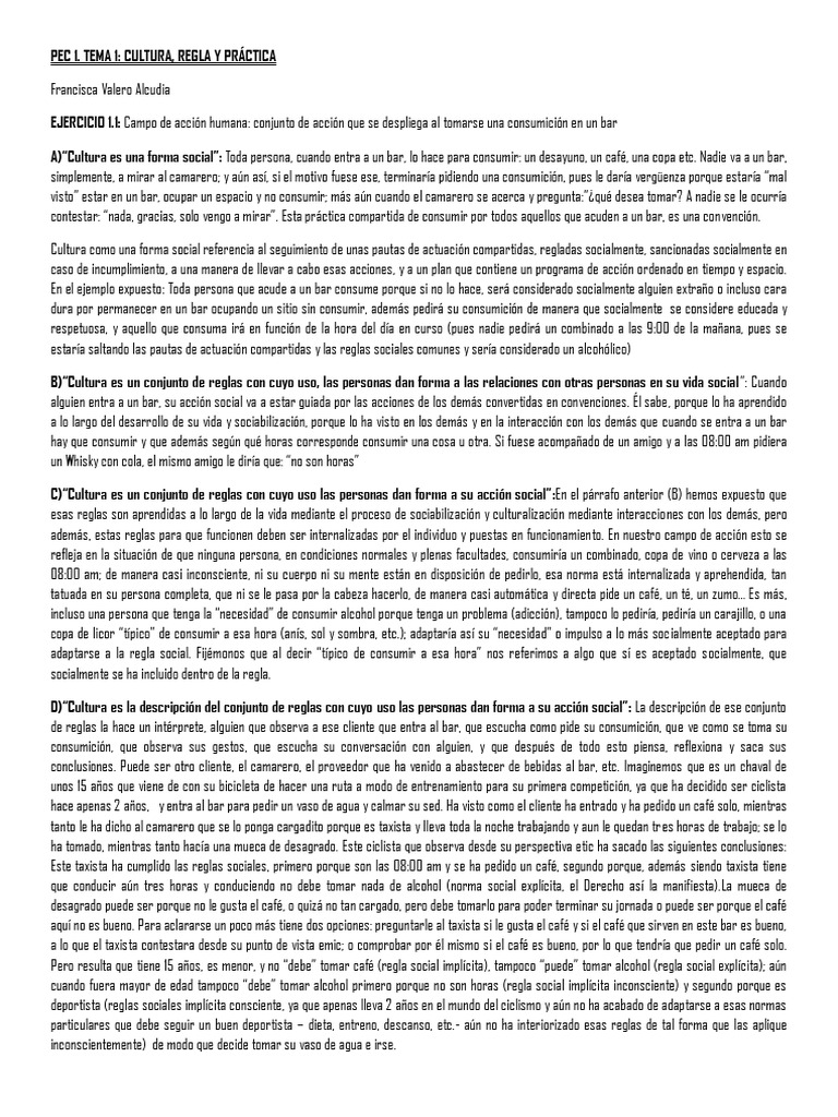 Pec 1. Ejercicio 1.1 | PDF | Socialización