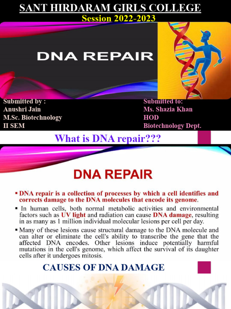 DNA Repair System | PDF