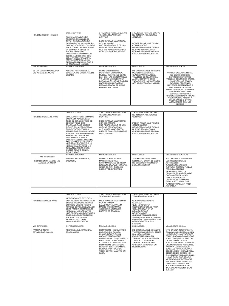 Anexo Perfil Cliente | PDF