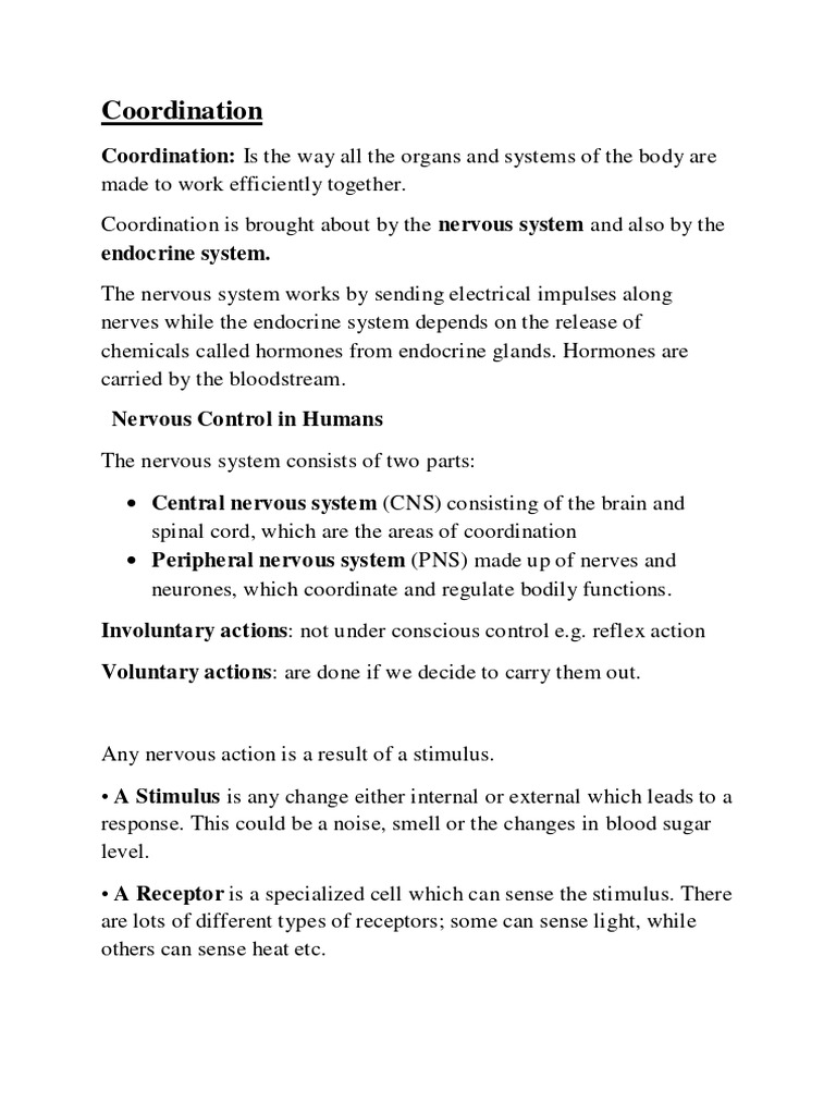 4A Notes Coordination and Response | PDF | Neuron | Stimulus (Physiology)