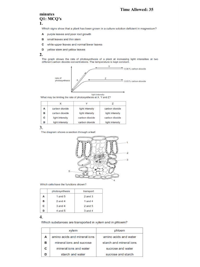 Plants Test | PDF