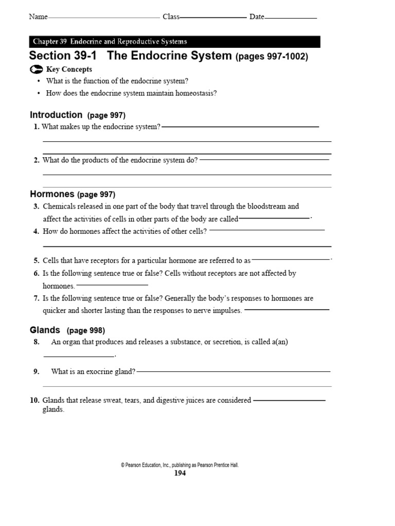 Endocrine System | PDF | Hormone | Endocrine System