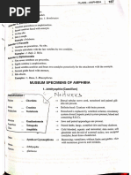 Salamander Classification & Dichotomous Key - With Answers | PDF ...