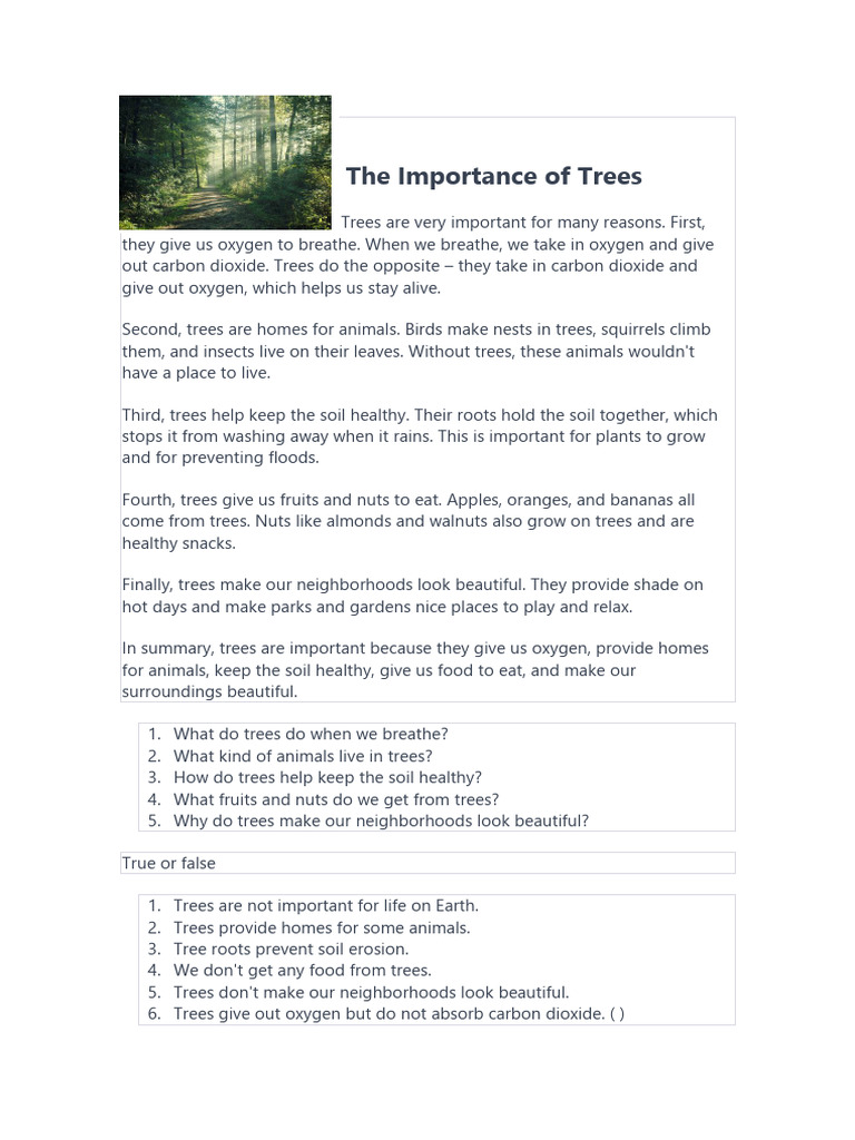 Kids Can 5 U3 READING | PDF