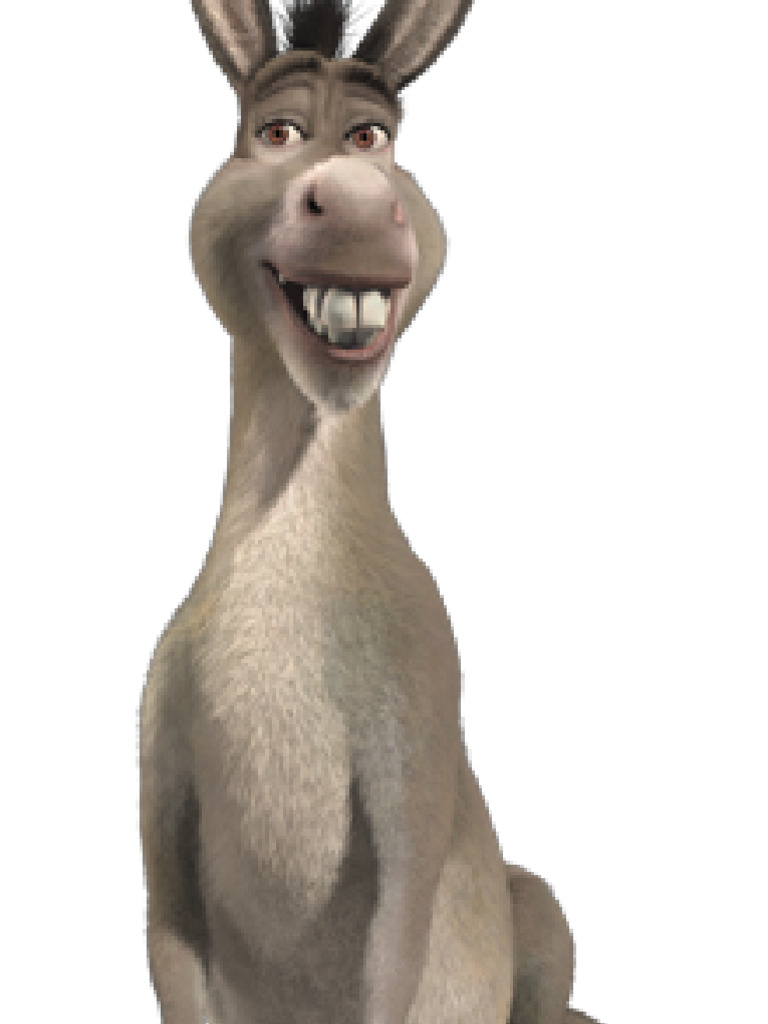 English 10th Preparatory Paper 2024 E81 | PDF