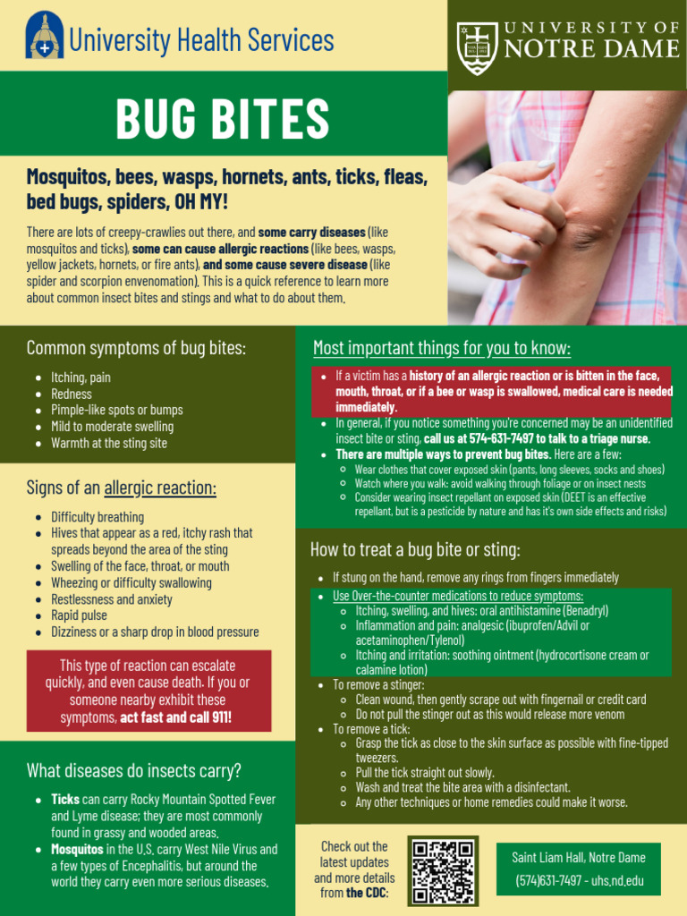 Insect Bites and Stings | PDF | Diseases And Disorders | Medical ...