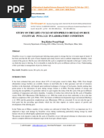 1 - Growth Stages of The Rice Plant | PDF | Germination | Root