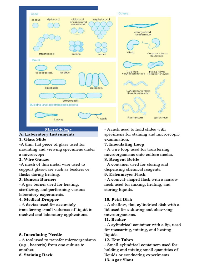 Microbiology LAB 1 Laboratory Instruments | Download Free PDF ...