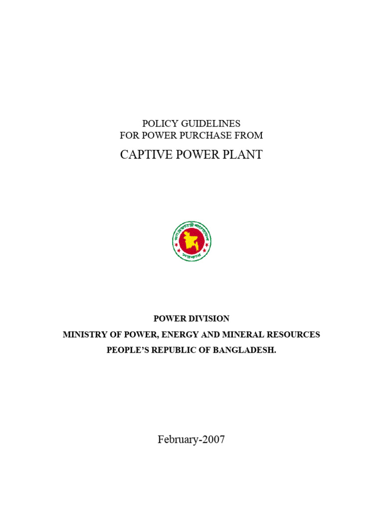 Cpp Guidelines 2007 Pdf Value Added Tax Power Station