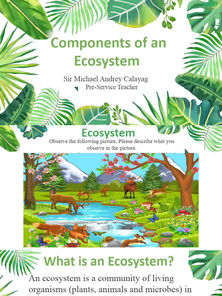Presentation Ecosystem 2 Download Free Pdf Ecosystem Natural