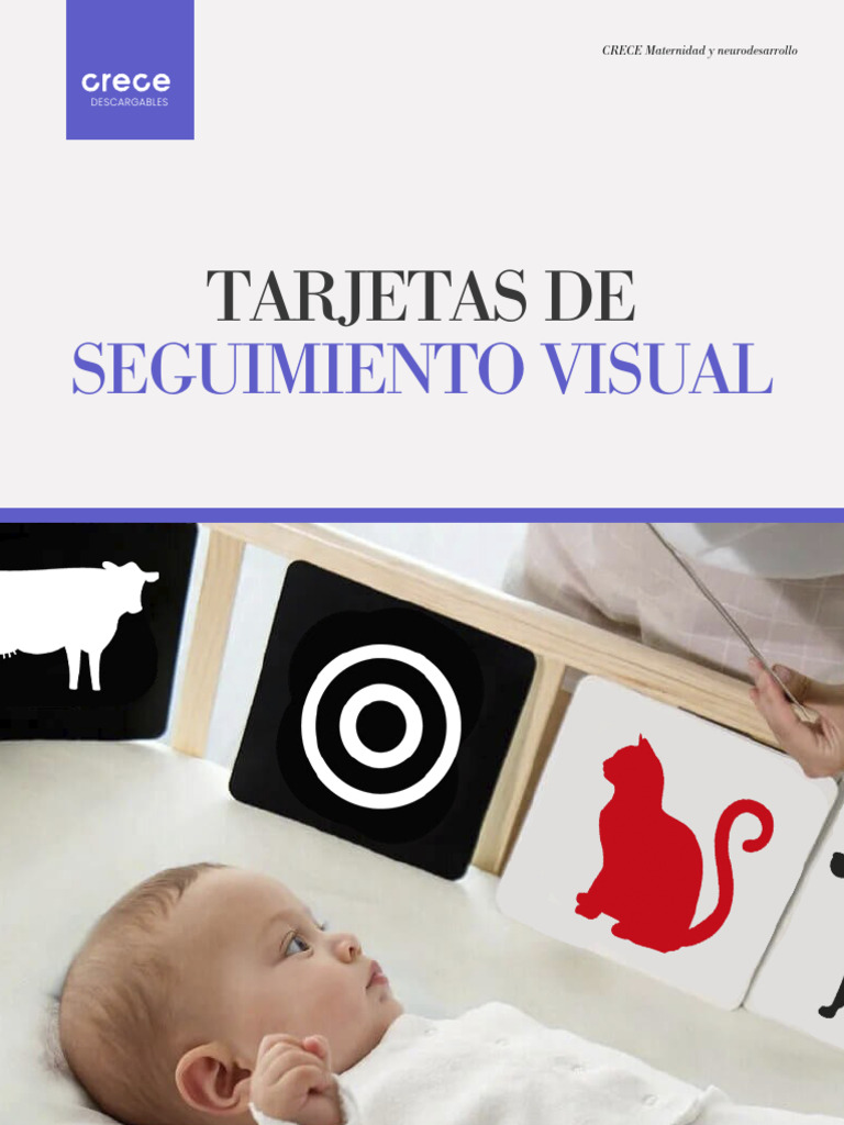 Tarjetas de Seguimiento Visual para Bebés | PDF | Percepción visual ...
