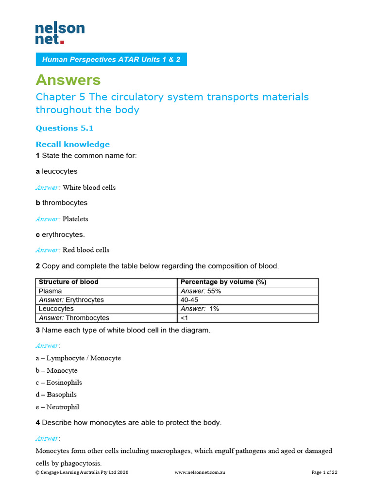 Chapter 5 Answers | PDF | Blood Cell | Blood