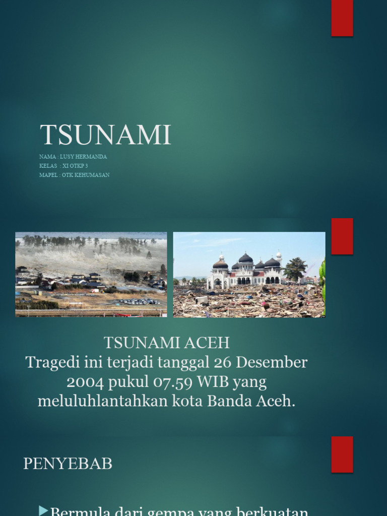 Tsunami | PDF